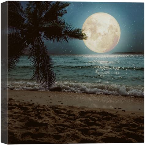 Full Moon Night Beach