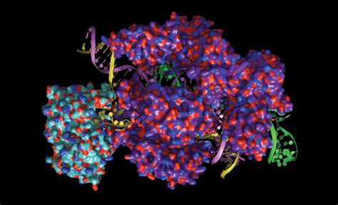 Crispr 20 Base Editing In The Groove