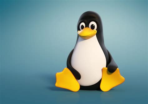 What Is The Name Of The Built In Firewall On Most Linux Distributions