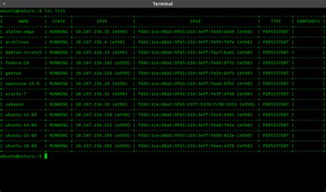 Install LXD On Linux Snap Store