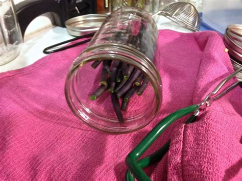 Bits From The Weekend The Picky Vegan