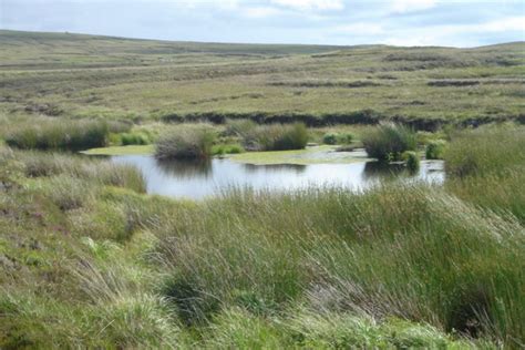 Fao Launches Guidelines For Peatland Mapping And Conservation Science