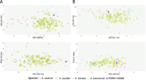 A Linear Discriminant Analysis LDA And Principal Component Download Scientific Diagram