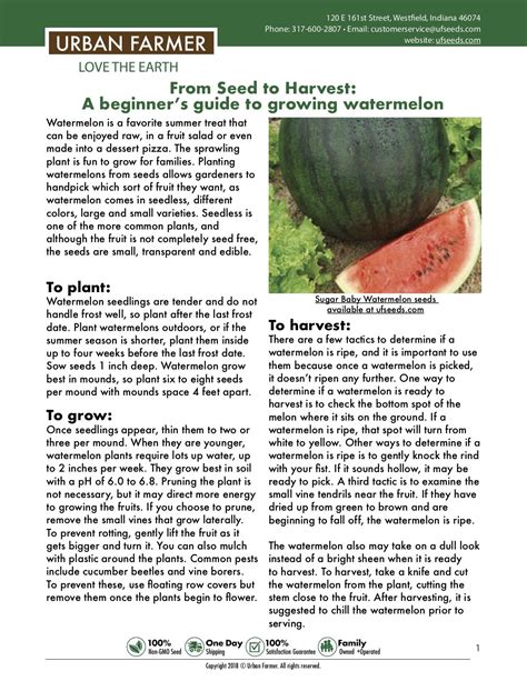 Watermelons From Seed To Harvest Artofit