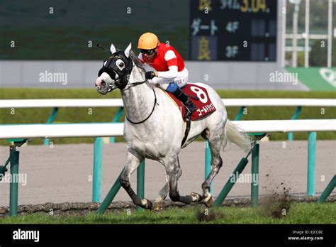 Hyogo Japan 22nd Mar 2015 Gold Ship Yasunari Iwata Horse Racing
