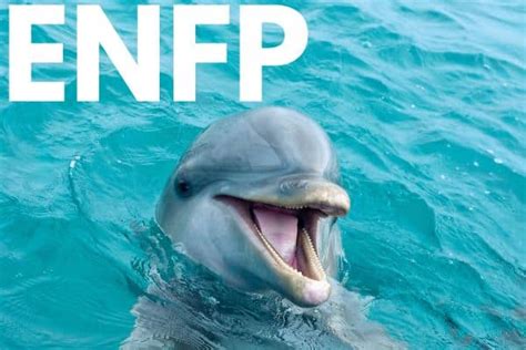 Heres The Sea Creature That Best Represents Your Myers Briggs