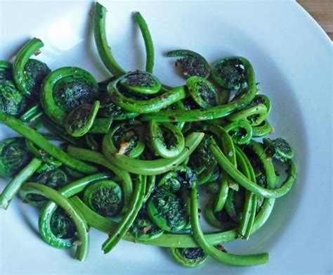 Fiddleheads And Nuptials On Maines Mount Desert Island