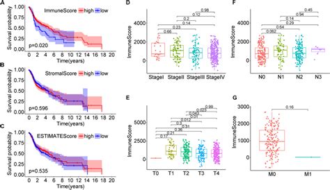 Correlation Analysis Of Head And Neck Squamous Cell Carcinoma Hnsc