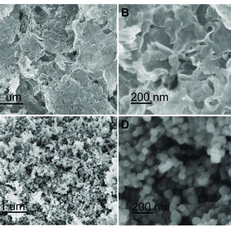 A SEM Image B High Resolution SEM Image And C TEM Image Of Download Scientific