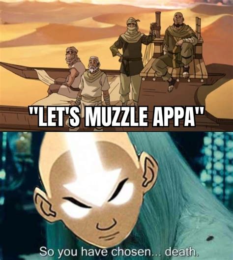25 Appa Memes For Atla Fans Who Know Hes The Best Part Of The Series