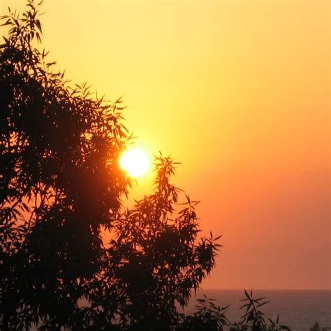 Андрей Захаров Youtube