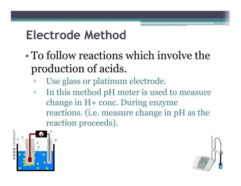 Enzyme Assay Methods Pdf