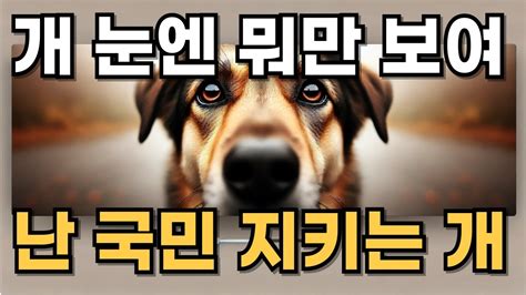 이재명 개 눈엔 뭐만 보여” 한동훈 난 국민 지키는 개” 우리 개들이 전생에 무슨 죄를 지었기에 이렇게 천대받고 사나 싶소 Youtube