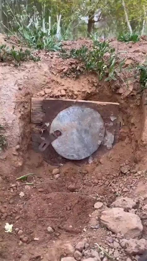 In A Hole In The Ground There Lived A Hoppit R Aww