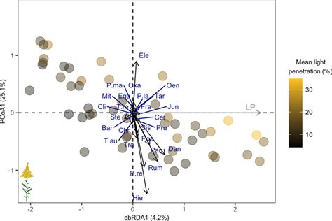 Distance‐based Redundancy Analysis Dbrda Ordination For Composition