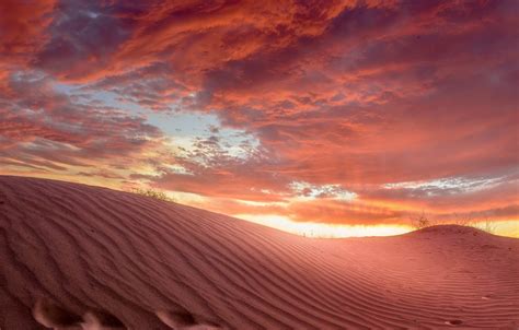 Закат в пустыне фото и картинки Abrakadabrafun