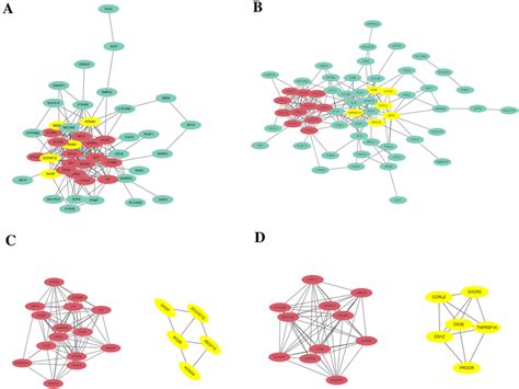 Ppi Networks And Significant Gene Modules A Ppi Network Diagram In