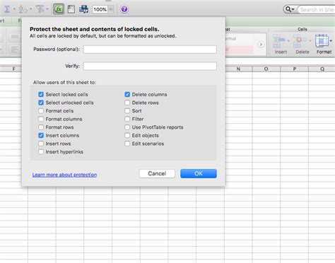 Python 27 Xlsxwriter Sheet Protection Feature With Limited Privilege
