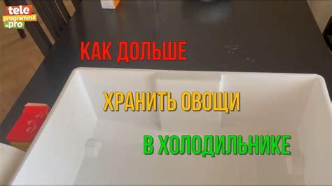 Как правильно хранить овощи чтобы они не испортились Youtube