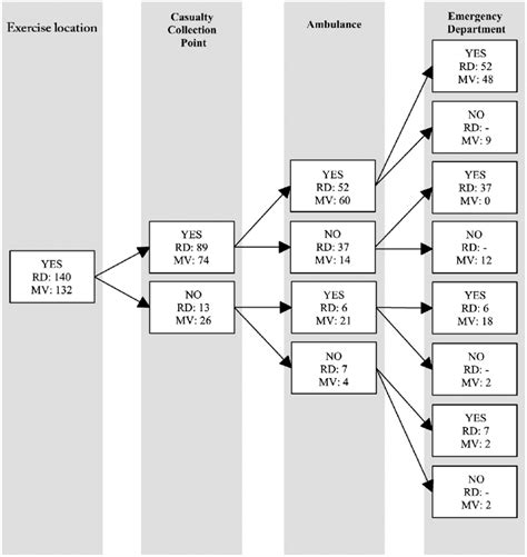 Flow Chart Of Patient Distribution Based On Data From Casualty