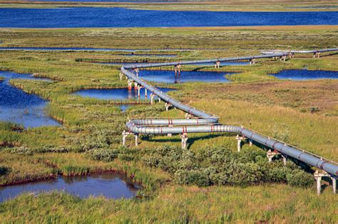 가스 파이프 라인 크레인 및 가스 및 오일 운송을 위한 파이프 배경 툰드라 가솔린에 대한 스톡 사진 및 기타 이미지 가솔린 강철 건설 산업 Istock