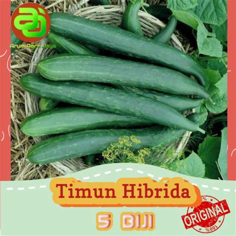 Jual Benih Timun Hibrida Jepang 5 Biji Shopee Indonesia