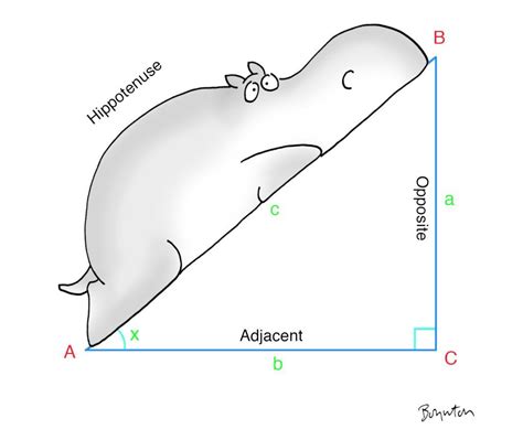 12 Geometry Ideas Teaching Math Math Geometry Math