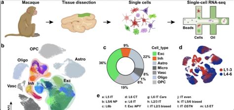 Miao Lab Publications