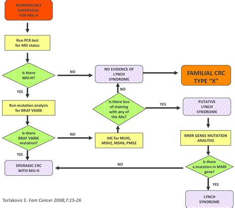 An Algorithm For Identification Of Lynch Syndrome Reprinted With Download Scientific Diagram