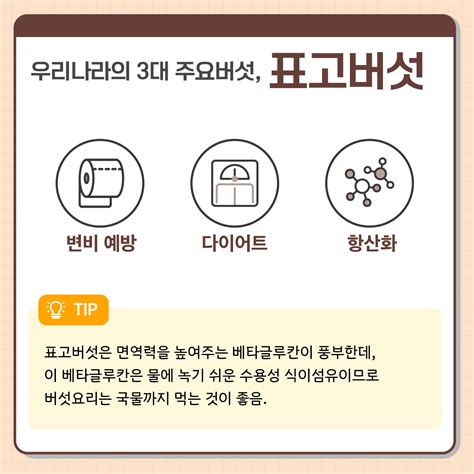 이달의 제철 농산물 상세 제철농산물 농식품 라이프 농식품정보누리