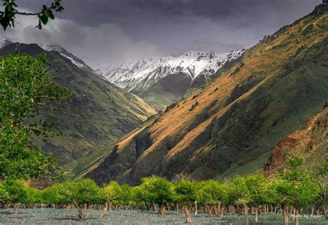 Байгаль Орчны Үнэлгээ Байгаль орчны үнэлгээний мэргэжилтэн ажилд авна Facebook