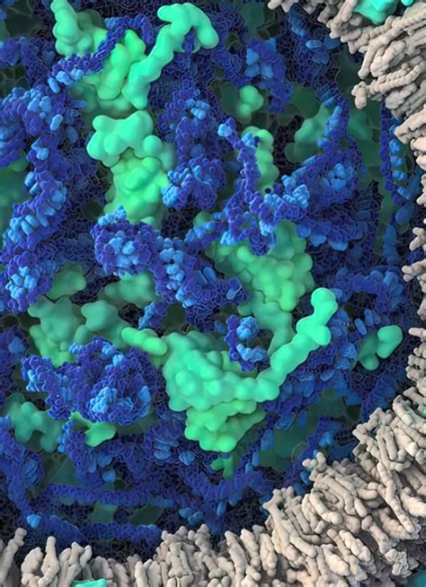 Companion Diagnostics Development Precision For Medicine