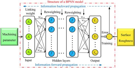 Topological Structure Of A BPNN Model Download Scientific Diagram