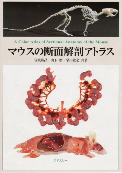 マウスの断面解剖アトラス