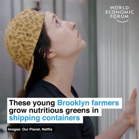 Hans Lohr Posted On Linkedin