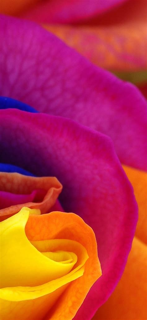 1080x2340 Wallpaper 089