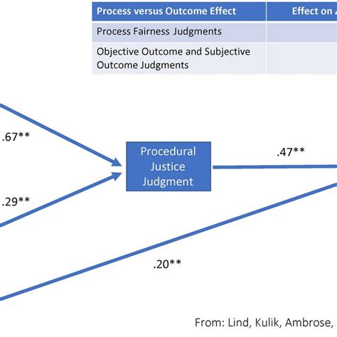 Process And Outcome Effects In Us Federal Arbitration Download