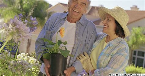 Cuál es la diferencia entre DHEA y DHEAS Crianza