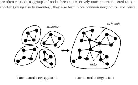 6 Schematic Diagram Showing Functional Segregation And The Existence Download Scientific