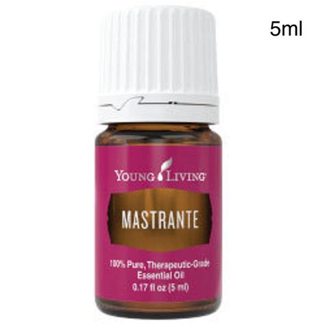 Mastrante Essential Oil By Young Living Etsy