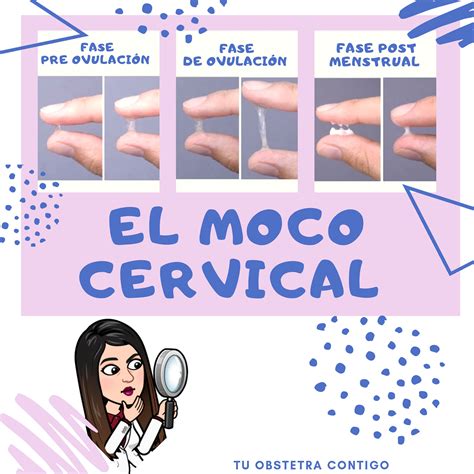 Obstetra ¡el Moco Cervical Y Los DÍas FÉrtiles El Método Del Moco