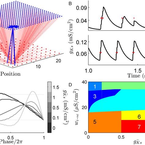 Cortical Network Model Of Cholinergic Modulation A Our Network Download Scientific Diagram