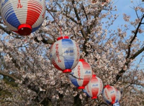 Size Invariance Matters Rethinking Metrics And Losses For Imbalanced Multi Object Salient