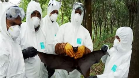 Nipah Virus Outbreak Sparks Growing Concern A Virus That Can Kill 75