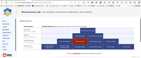 代谢组学富集分析kegg 功能富集metaboanalystr（r包 metabosignal ） metaboanalyst富集分析 csdn博客