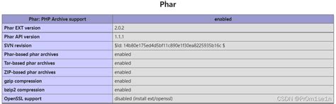 Phpinfo中的敏感信息phpinfo中的敏感西南西 Csdn博客