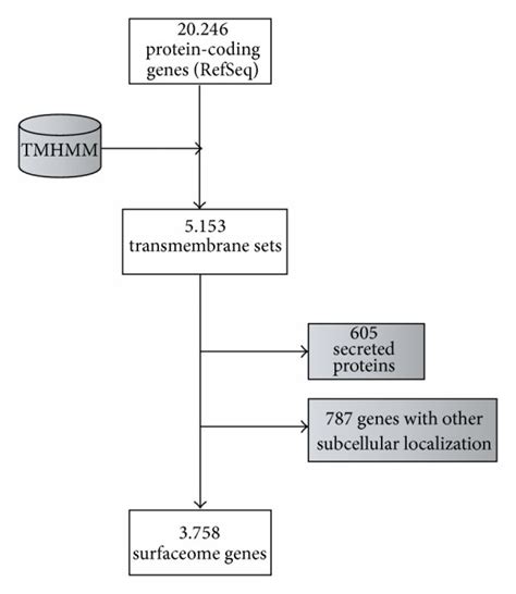 Methodology Workflow A The Ncbi Refseq Dataset Was Submitted To