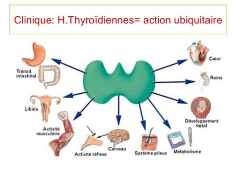 Hypothyroidie