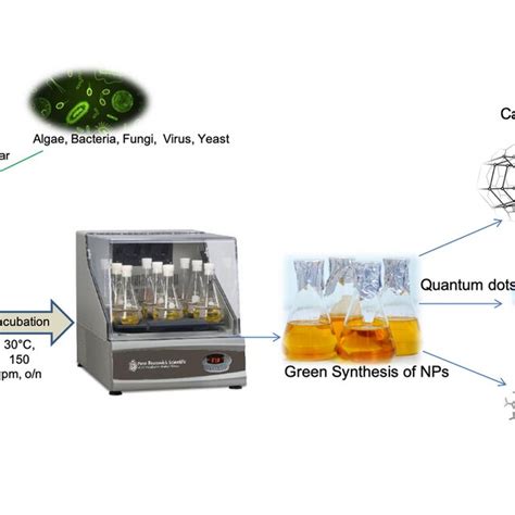 Characteristics Of Nms Used As Classification Criteria The Nms Are Download Scientific Diagram
